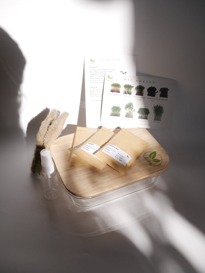 Microgreens Anzuchtset "Radish-Mix" mit Anzuchtschale – Beleaf Microgreens Saatgut